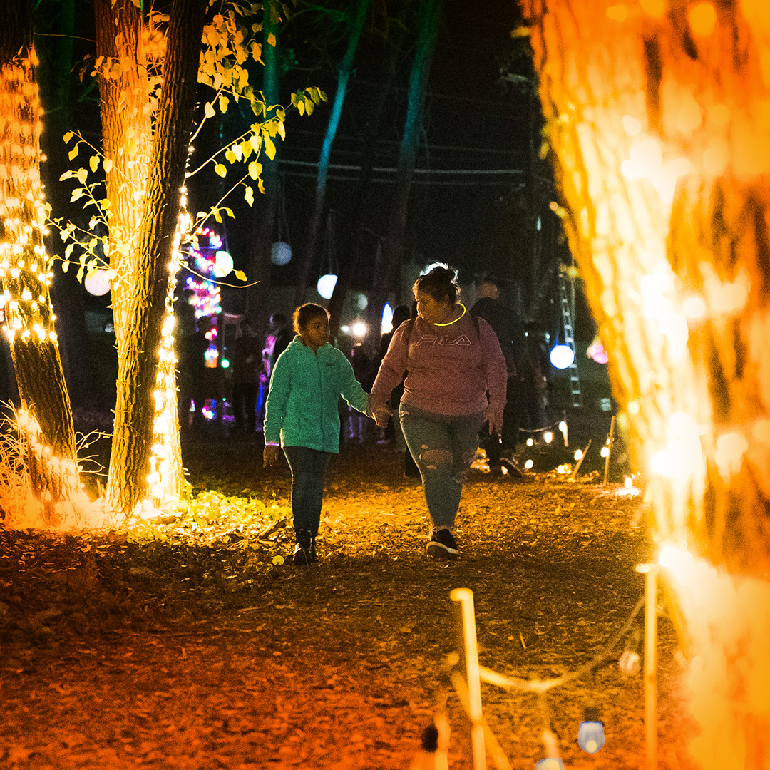A Brand New Lighted Forest Trail Opens This Fall in Evendale ...