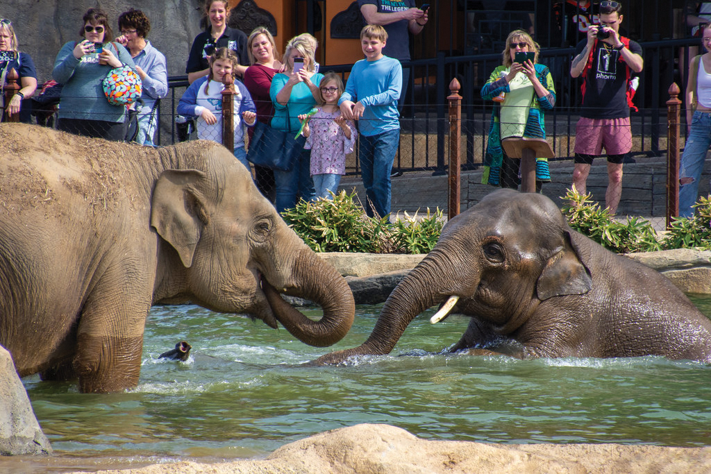 Mark Fisher's Journey to Create the Greenest Zoo in America - Cincinnati Magazine